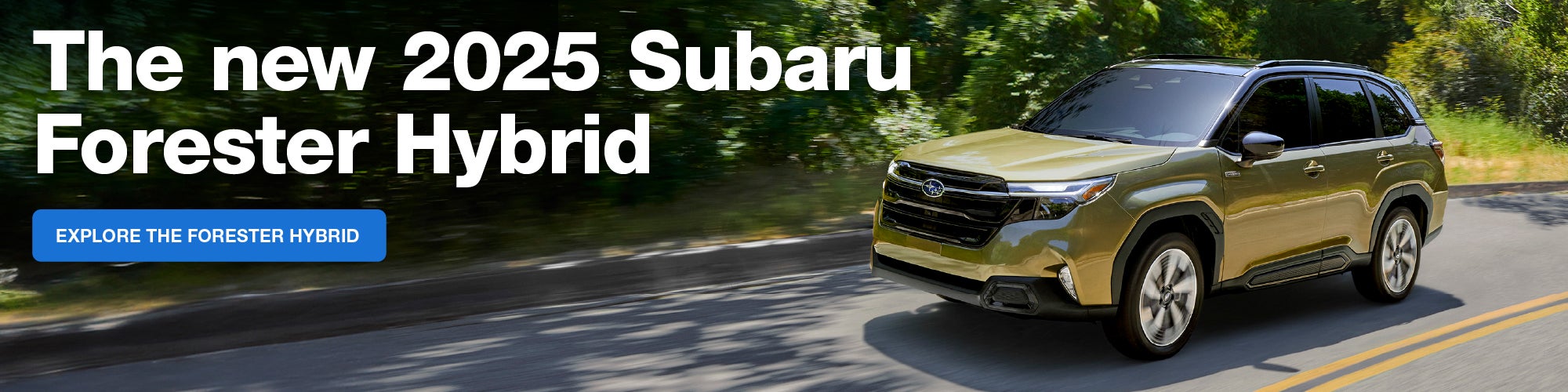 Your Local New & Used Subaru Dealer In Kingston, TN - Sutherlin Subaru